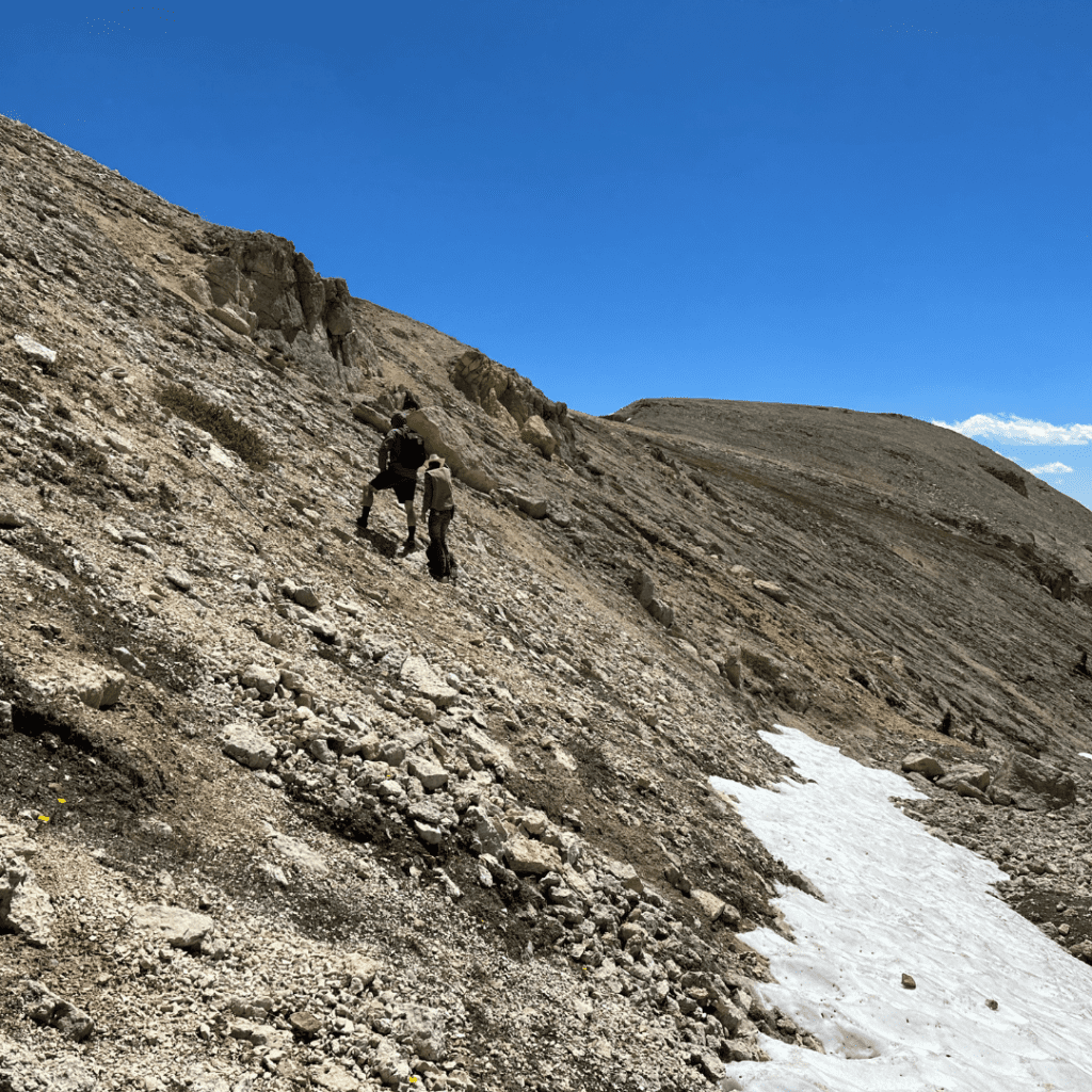 Finding Rare Alpine Plants | Betty Ford Alpine Gardens